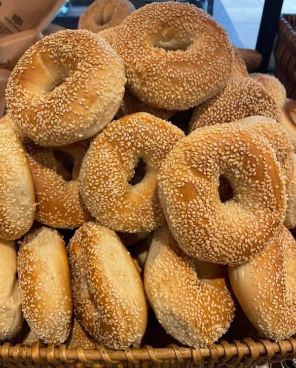 Bagel - Sesame - Panzer's