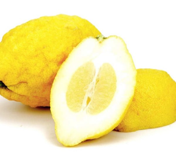 Lemon - Italian Cedro - Panzer's